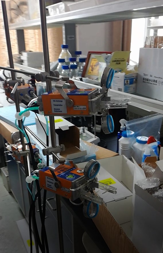 Photosynthesis Monitor Model PTM-50 – 알에치 시스템